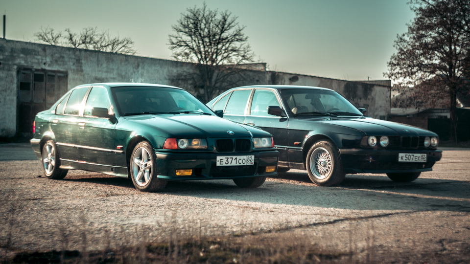 BMW E36 vs E34 — BMW 3 series (E36), 2 л, 1994 года | фотография | DRIVE2