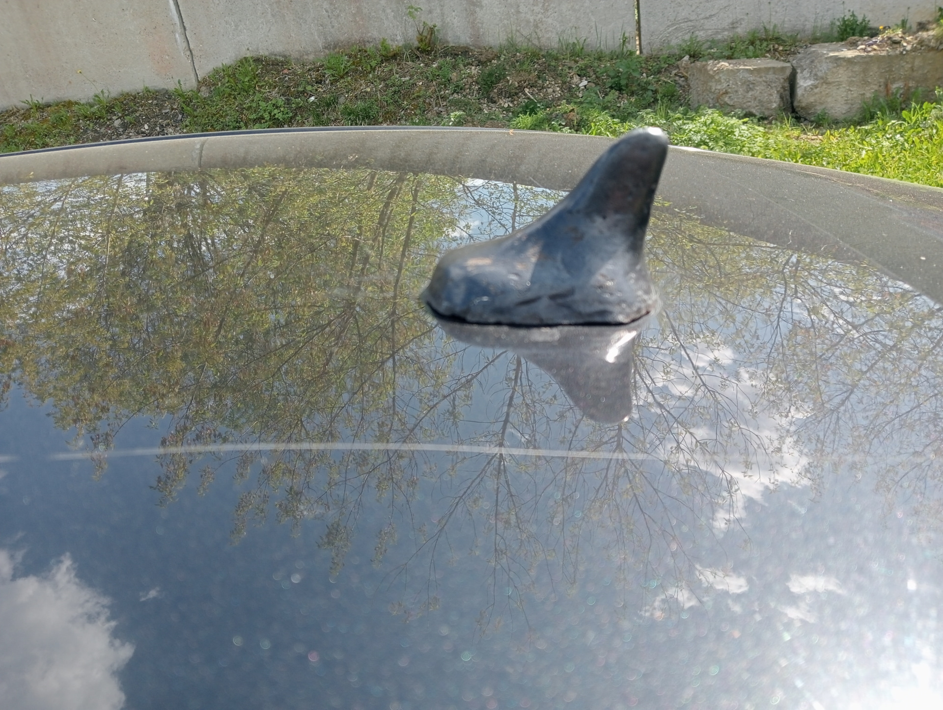 Плавник из папье маше — Audi A6 C6 3 л 2004 года электроника Drive2