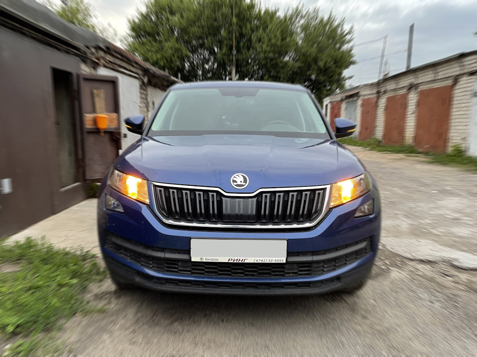 Подсветка номера — Skoda Kodiaq (1G), 1,4 л, 2021 года | наблюдение ...
