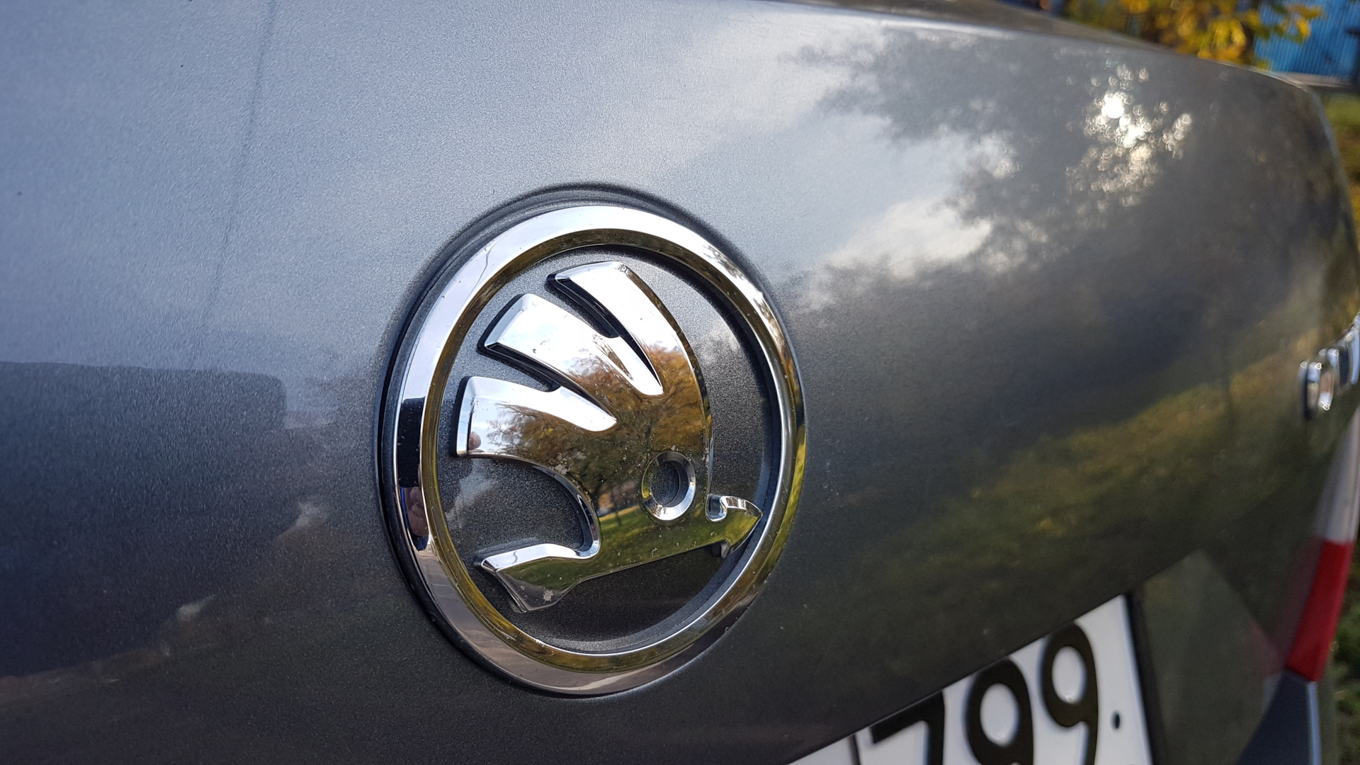 Platinum emblems — Skoda Octavia A7 Mk3, 1,4 л, 2014 года | стайлинг ...