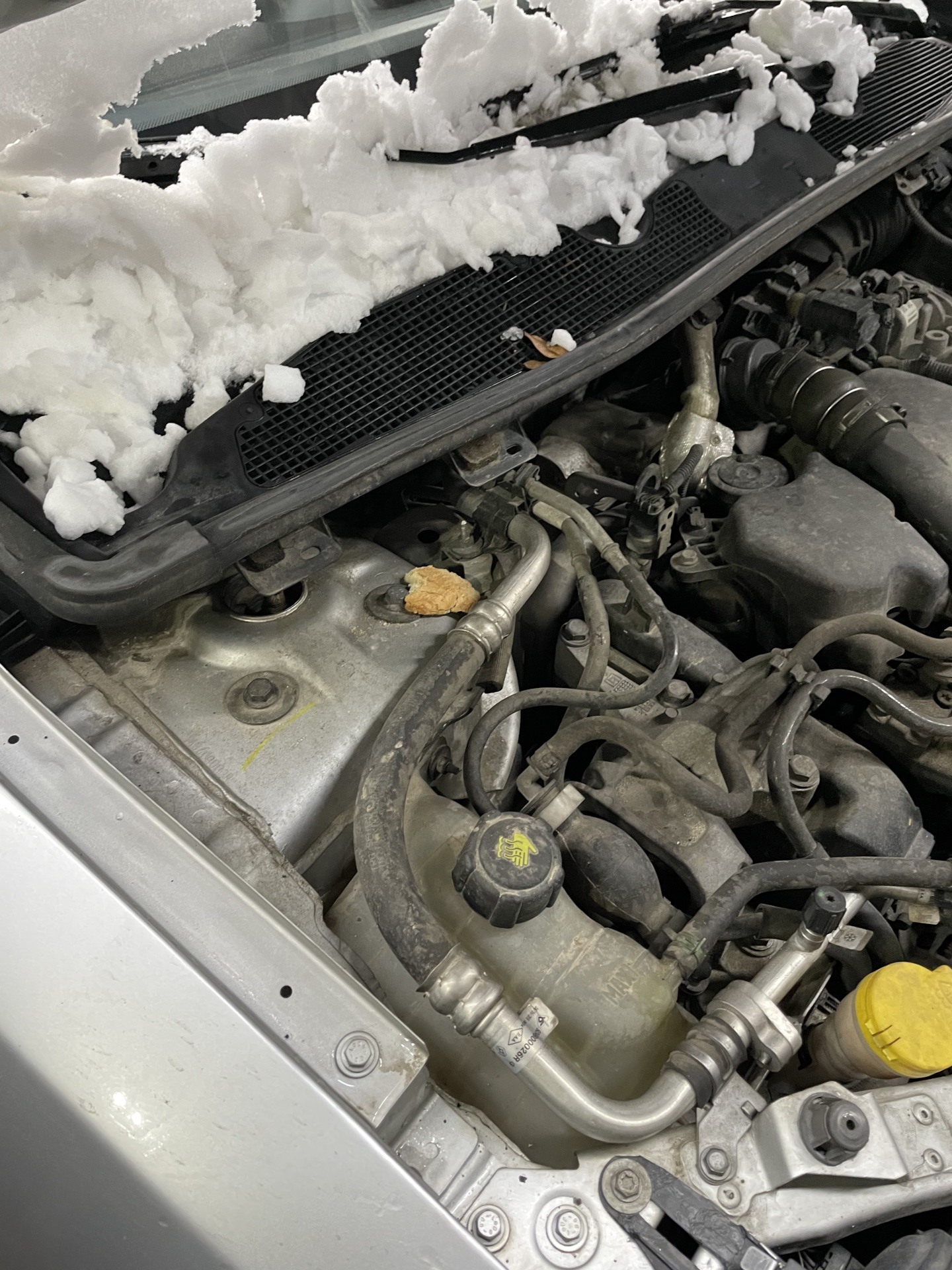 Очередное ТО — Renault Megane III, 1,5 л, 2015 года | плановое ТО | DRIVE2