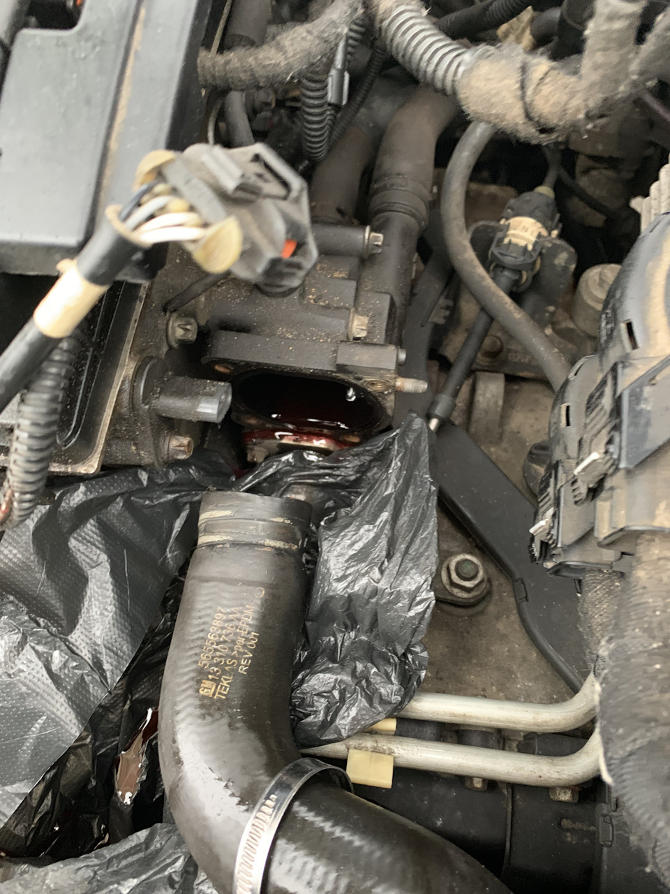 565563897 Патрубок радиатора GM | Запчасти на DRIVE2