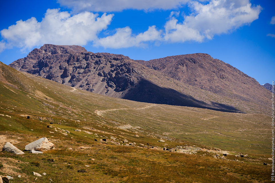 Замена трубки удаления воздуха — Audi A4 (B7), 2 л, 2007 года | своими ...