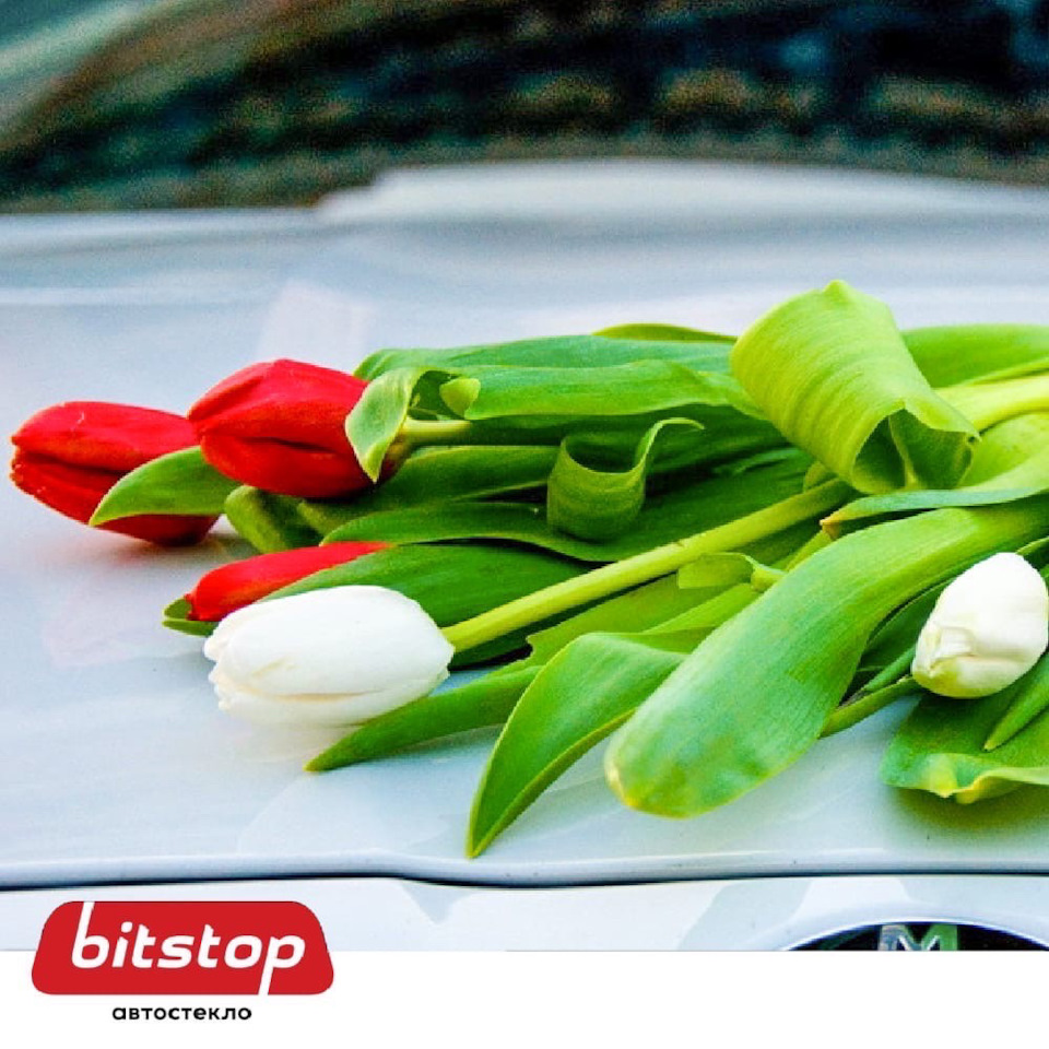 🎉 С Международным Женским Днем! — Bitstop на DRIVE2