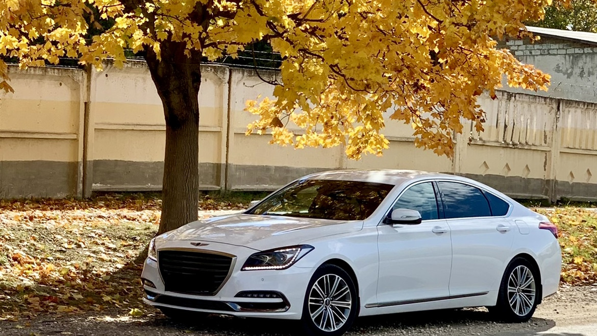 Genesis G80 (1G) 2.0 бензиновый 2020 | white power на DRIVE2