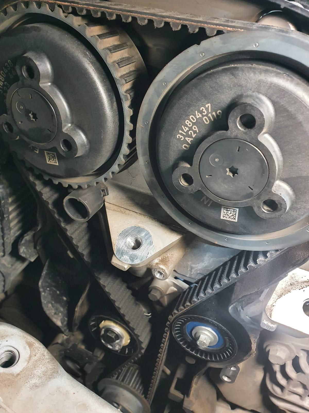 Большое ТО. ГРМ, моторное масло, халдекс, масло гур — Volvo XC60 (1G ...