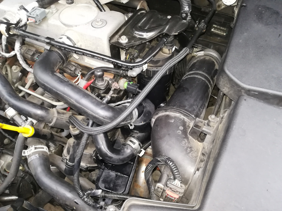 Датчик охлаждающей жидкости — Ford Focus Hatchback II, 1,8 л, 2010 года ...