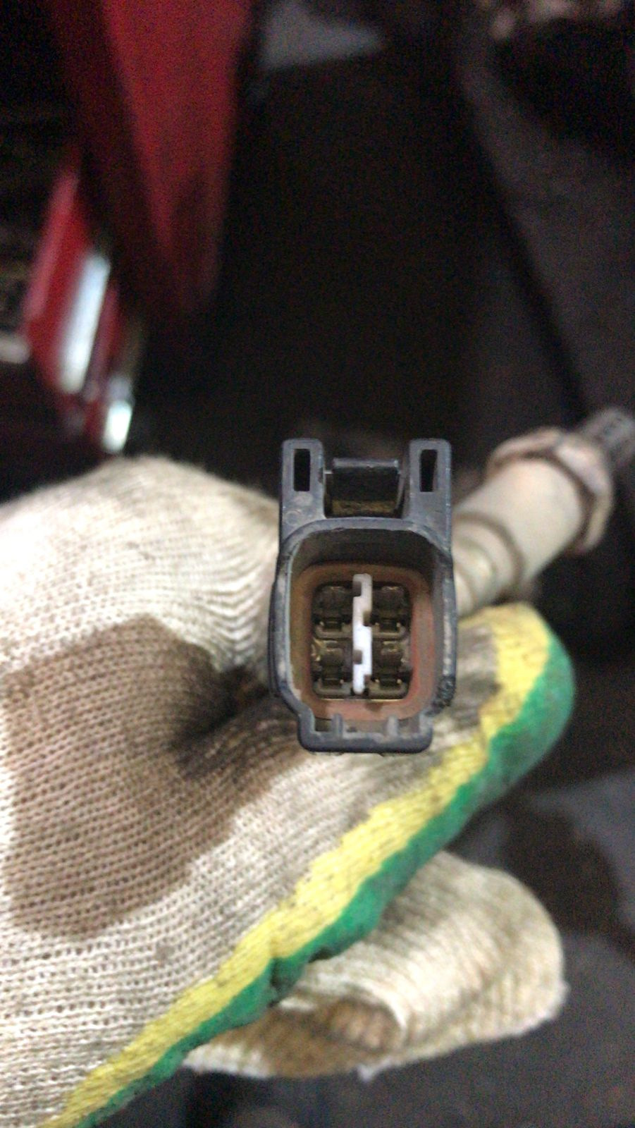 Check=лямбда — Suzuki Swift (1G), 1,3 л, 2004 года | поломка | DRIVE2