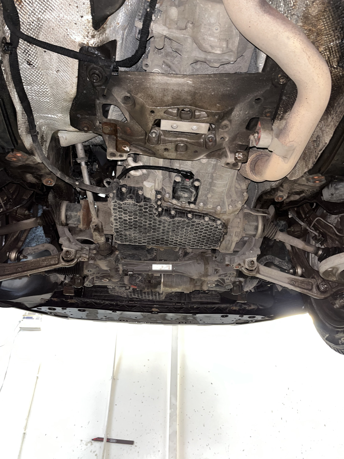 Полная замена масла в dl 382 и quattro ultra — Audi A4 Allroad (B9), 2 ...