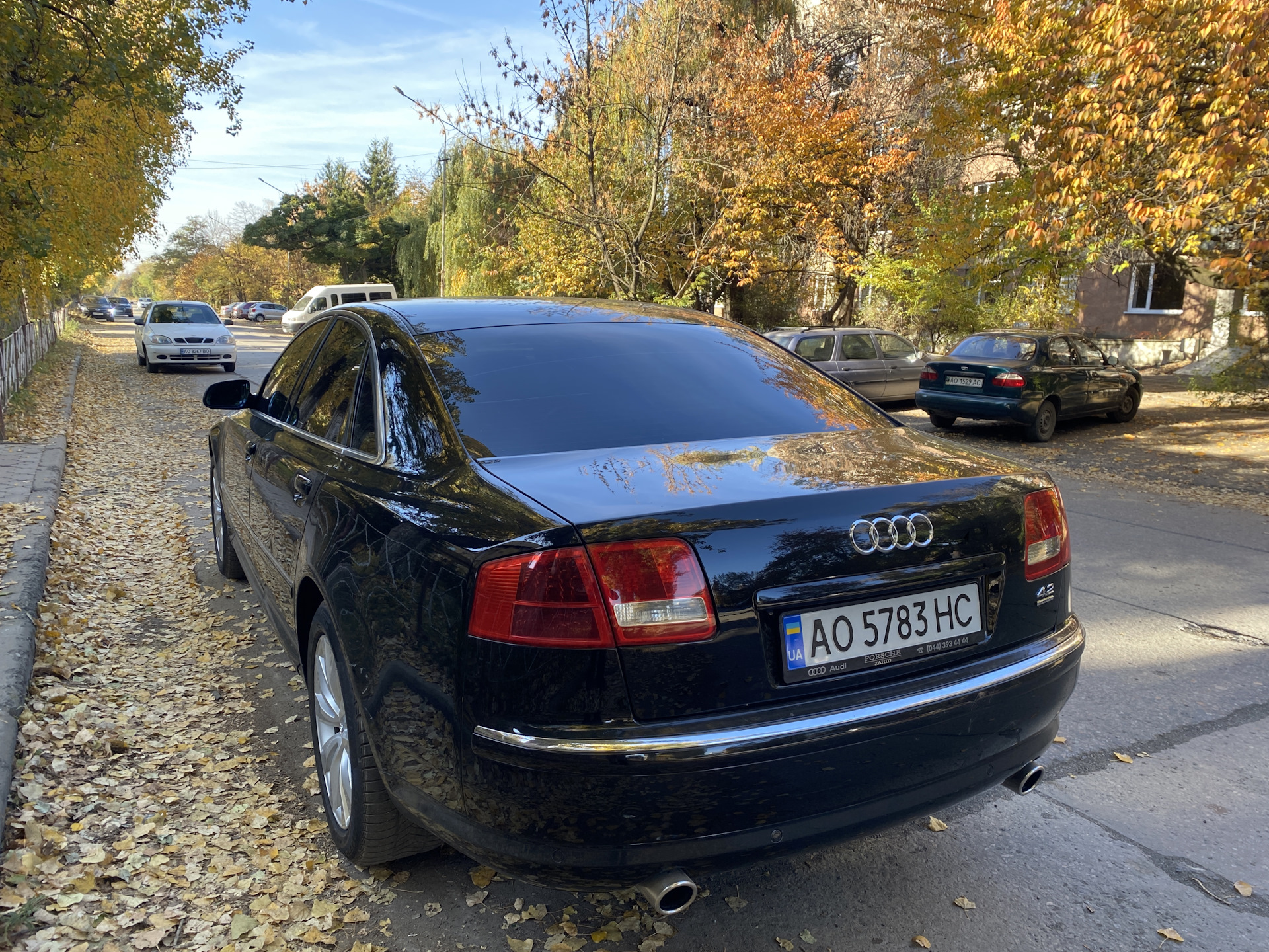 Рамки номеров от оф. диллера — Audi A8 (D3), 4,2 л, 2003 года ...
