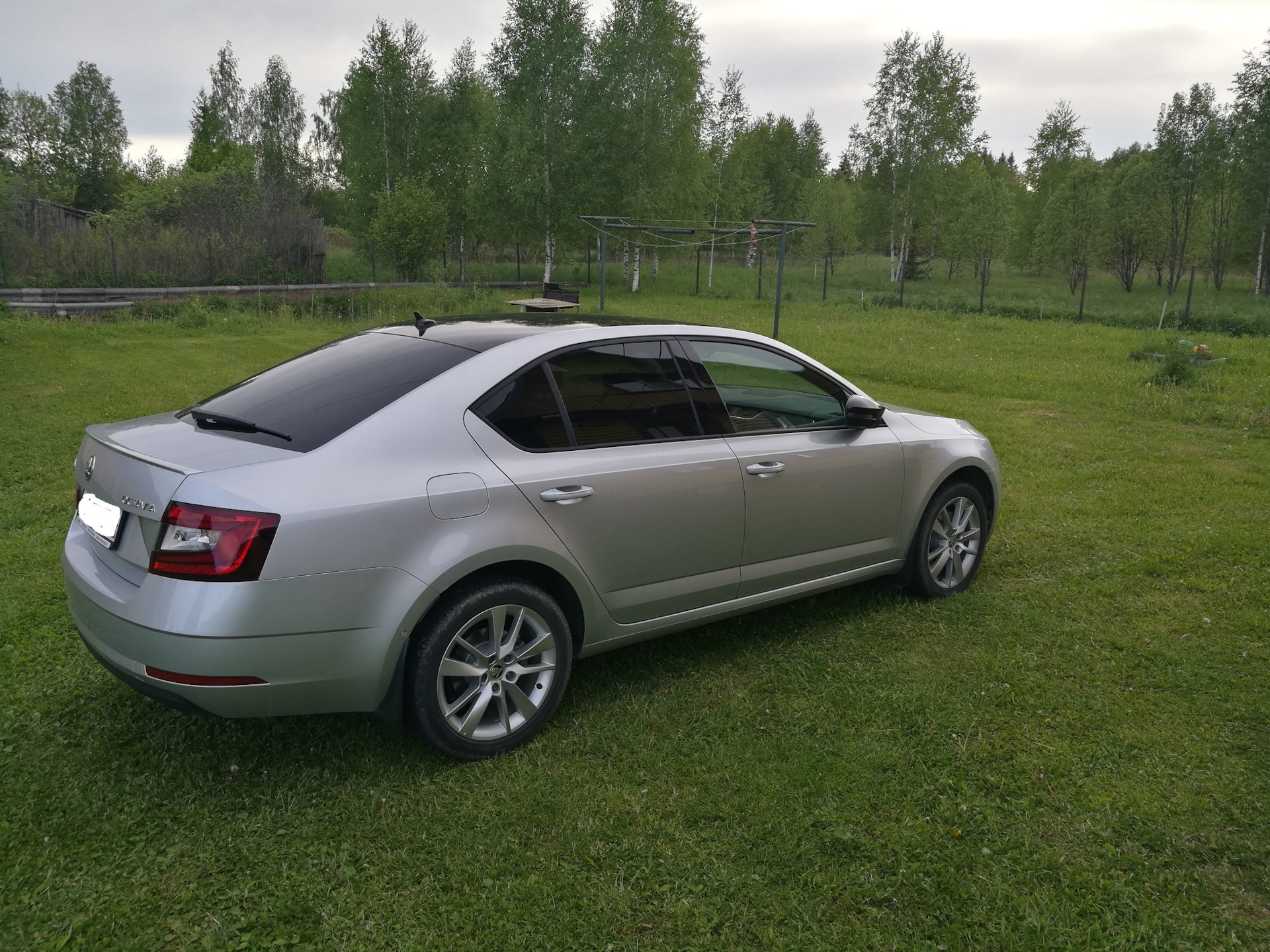 Тонировка и видеорегистратор — Skoda Octavia A7 Mk3, 1,8 л, 2019 года | другое | DRIVE2