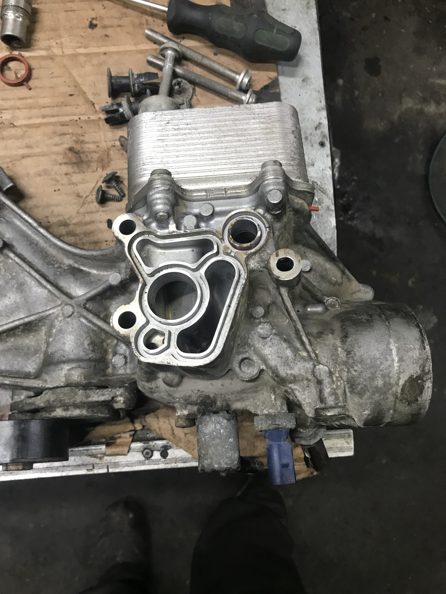 Первое ТО после покупки/март 2024. — Audi Q5 (1G), 2 л, 2015 года ...