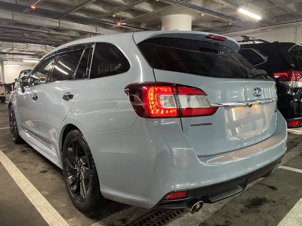 Первая встреча — Subaru Levorg (VM), 1,6 л, 2019 года | просто так | DRIVE2