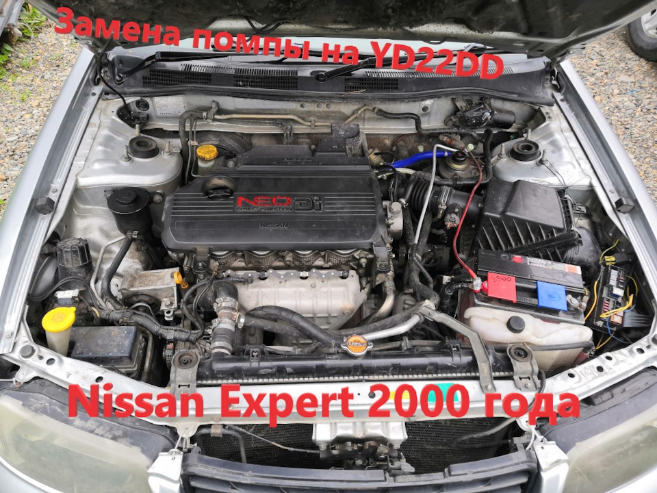 Замена помпы на Nissan Expert YD22DD — Nissan Expert (W11), 2,2 л, 2000 ...