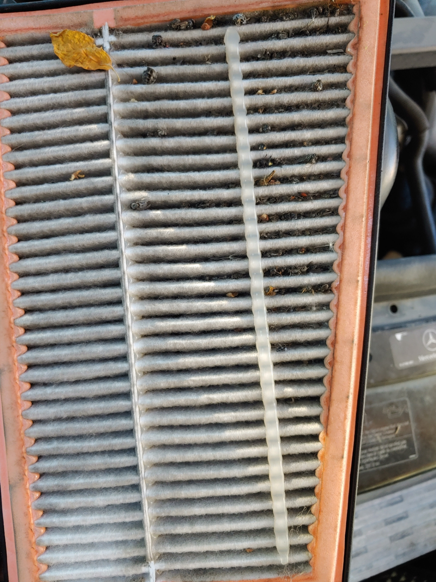 Замена масла и фильтров, отзыв о воздушных фильтрах Mann C25004 C27006 ...