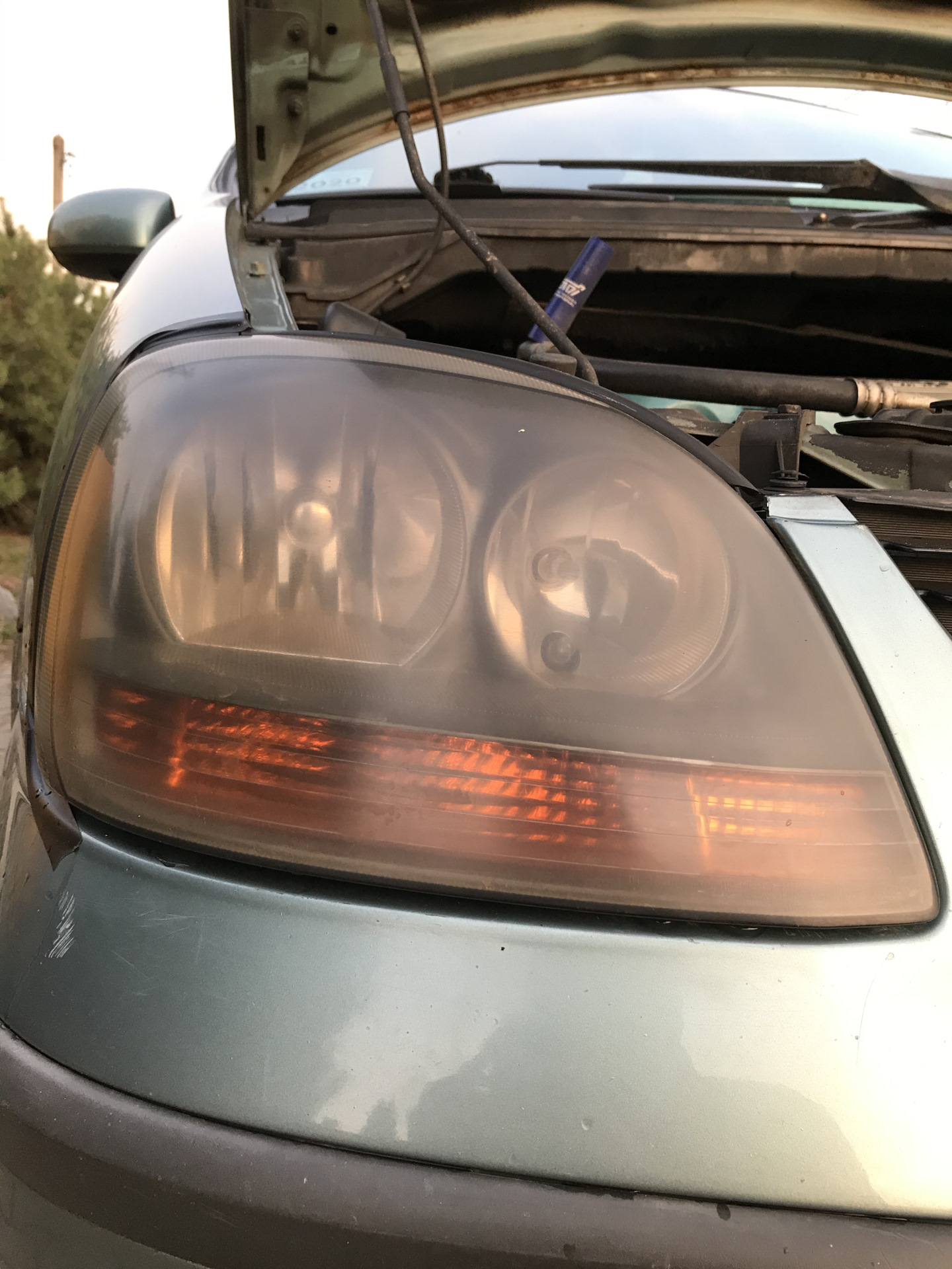 Полировка фар и немного black carbon — Nissan Almera Tino, 2,2 л, 2000 ...