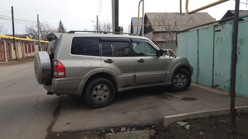 Ремонт ходовой части — Mitsubishi Montero III (V60), 3,8 л, 2003 года ...