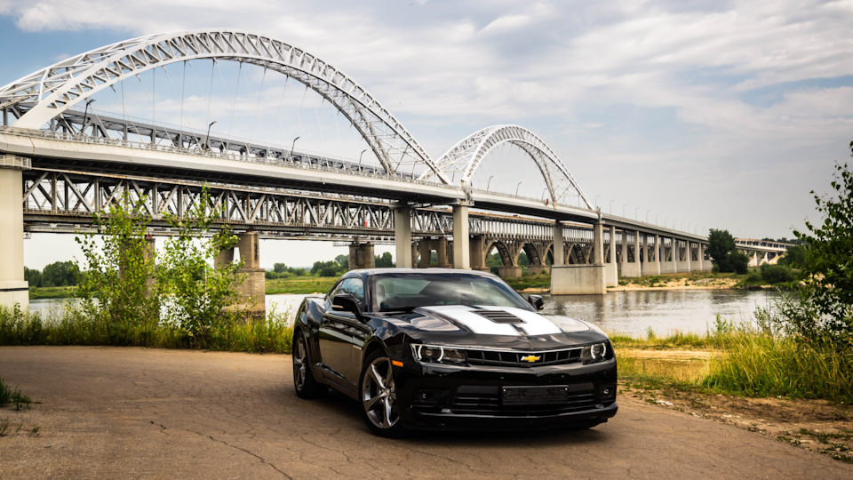 Chevrolet Camaro V 3.6 бензиновый 2014 | Blackbee на DRIVE2