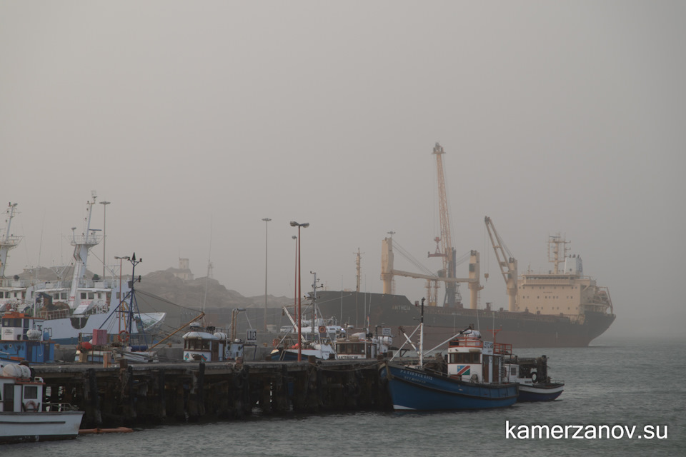 51169115083 Глухая панель BMW | Запчасти на DRIVE2