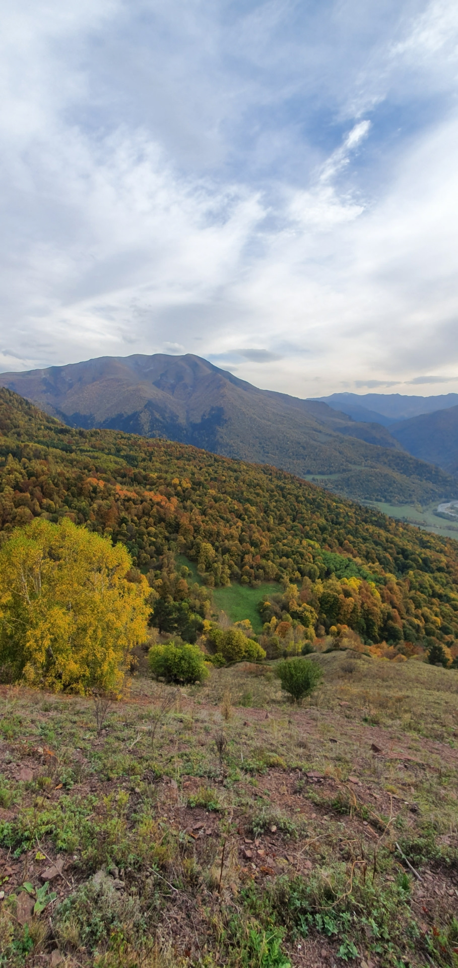 Немного осенних красок. — ГАЗ 69, 2,7 л, 1961 года | путешествие | DRIVE2