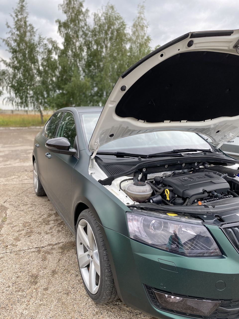 Внесение изменения цвета в докуметах — Skoda Octavia A7 Mk3, 1,8 л ...