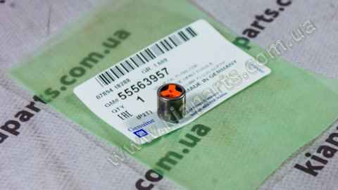 55563957 Предохранительный клапан двигателя GM | Запчасти на DRIVE2