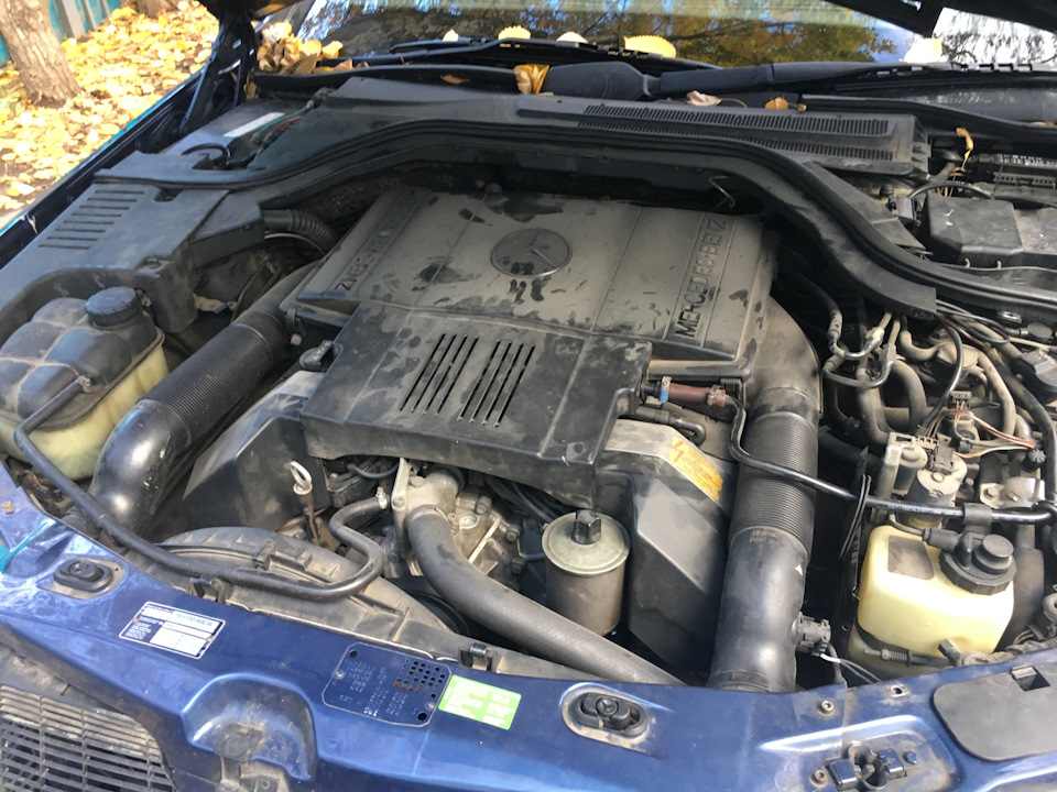 Отмыли подкапотку — Mercedes-Benz CL (W140), 5 л, 1993 года | мойка | DRIVE2