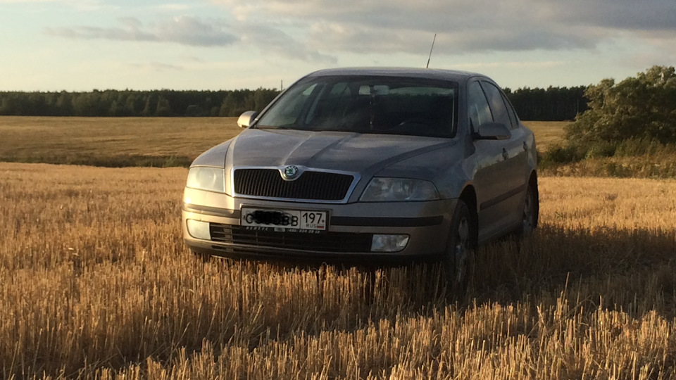 Трапеция стеклоочистителя — Skoda Octavia A5 Mk2, 1,6 л, 2006 года ...