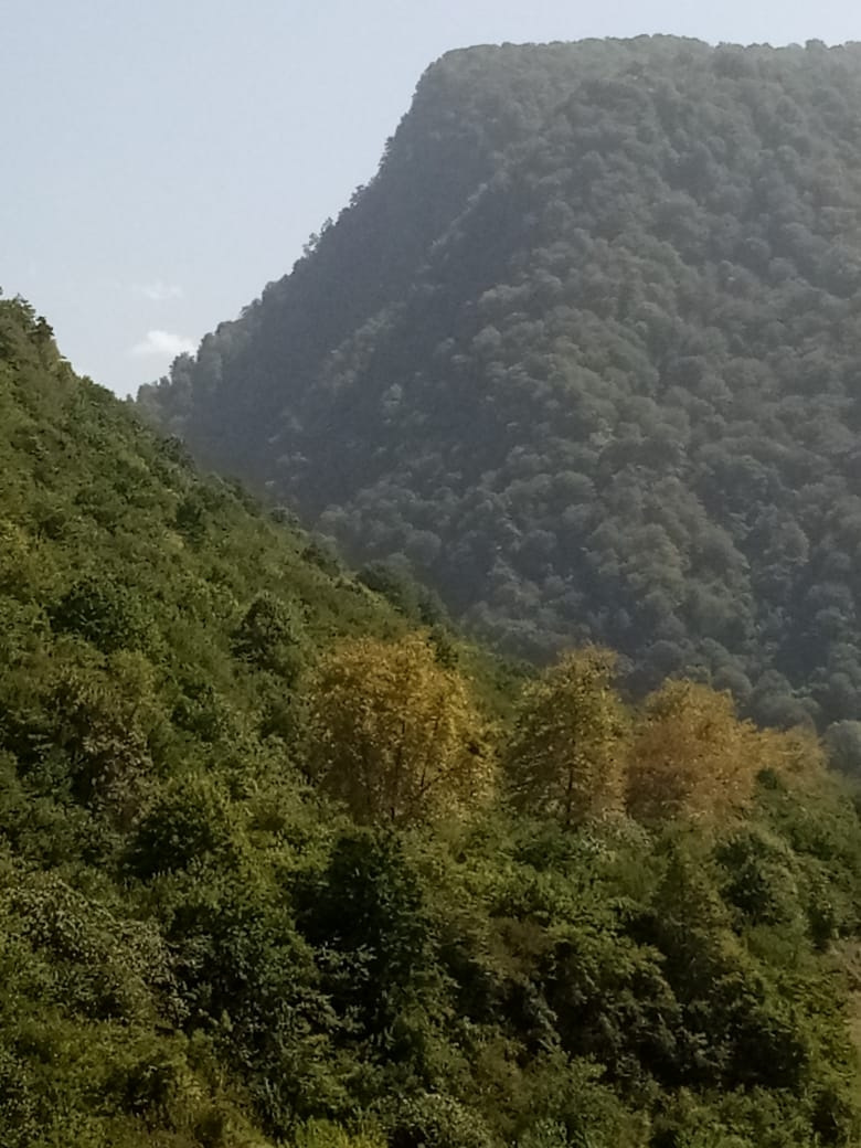 Ищу салонный пластик от titanium'a — Ford Focus Hatchback II, 1,8 л, 2008 года | стайлинг | DRIVE2