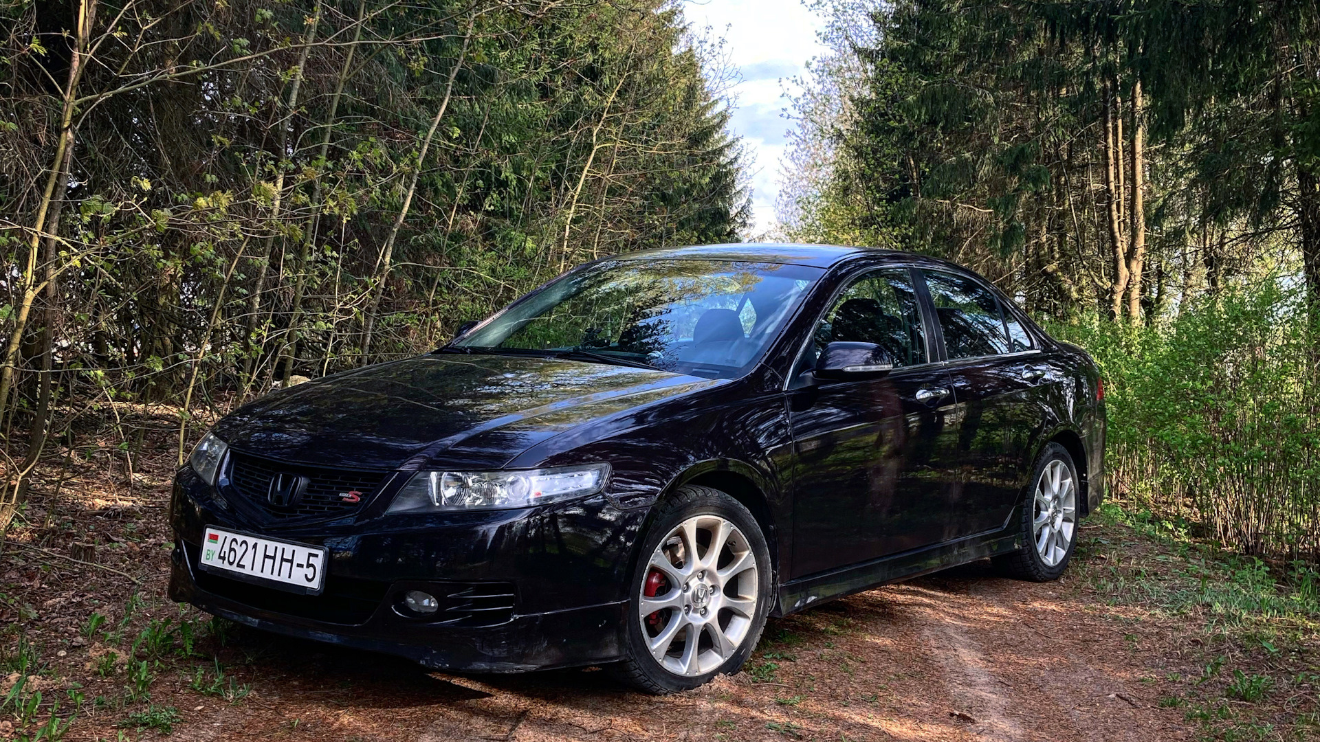 Honda Accord (7G) 2.4 бензиновый 2006 | Type'S на DRIVE2