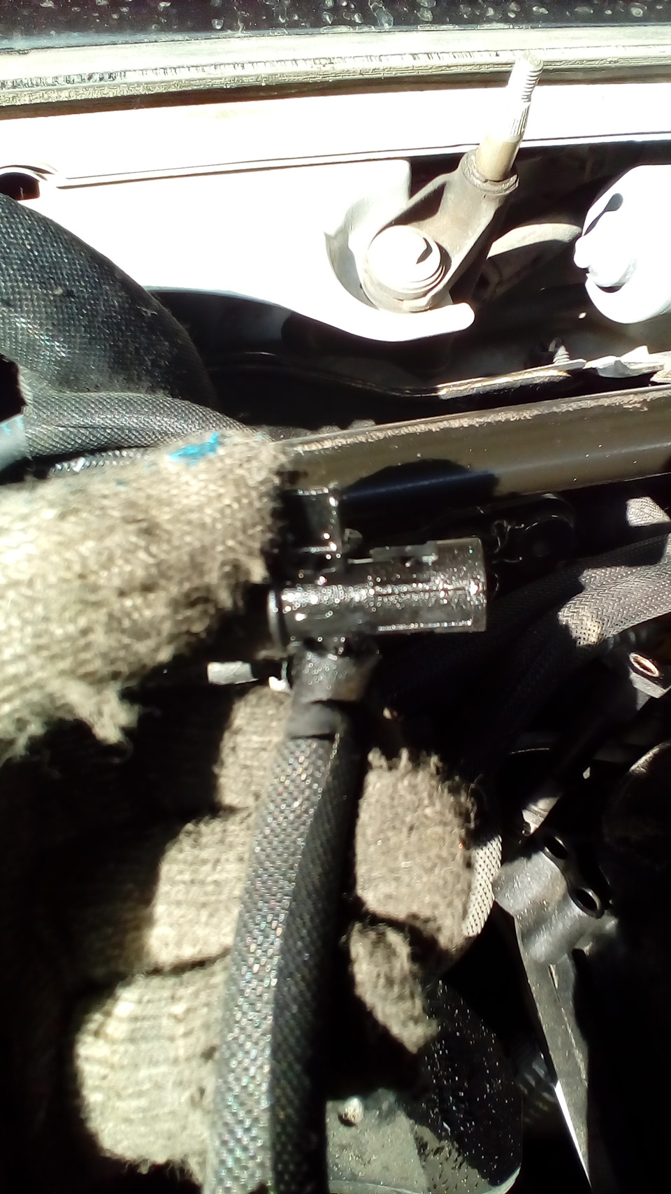 Amigo Tuning: отзывы, цены, фото