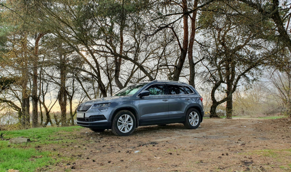 Карпет в двери. Part 2. — Skoda Karoq, 1,4 л, 2020 года | аксессуары ...