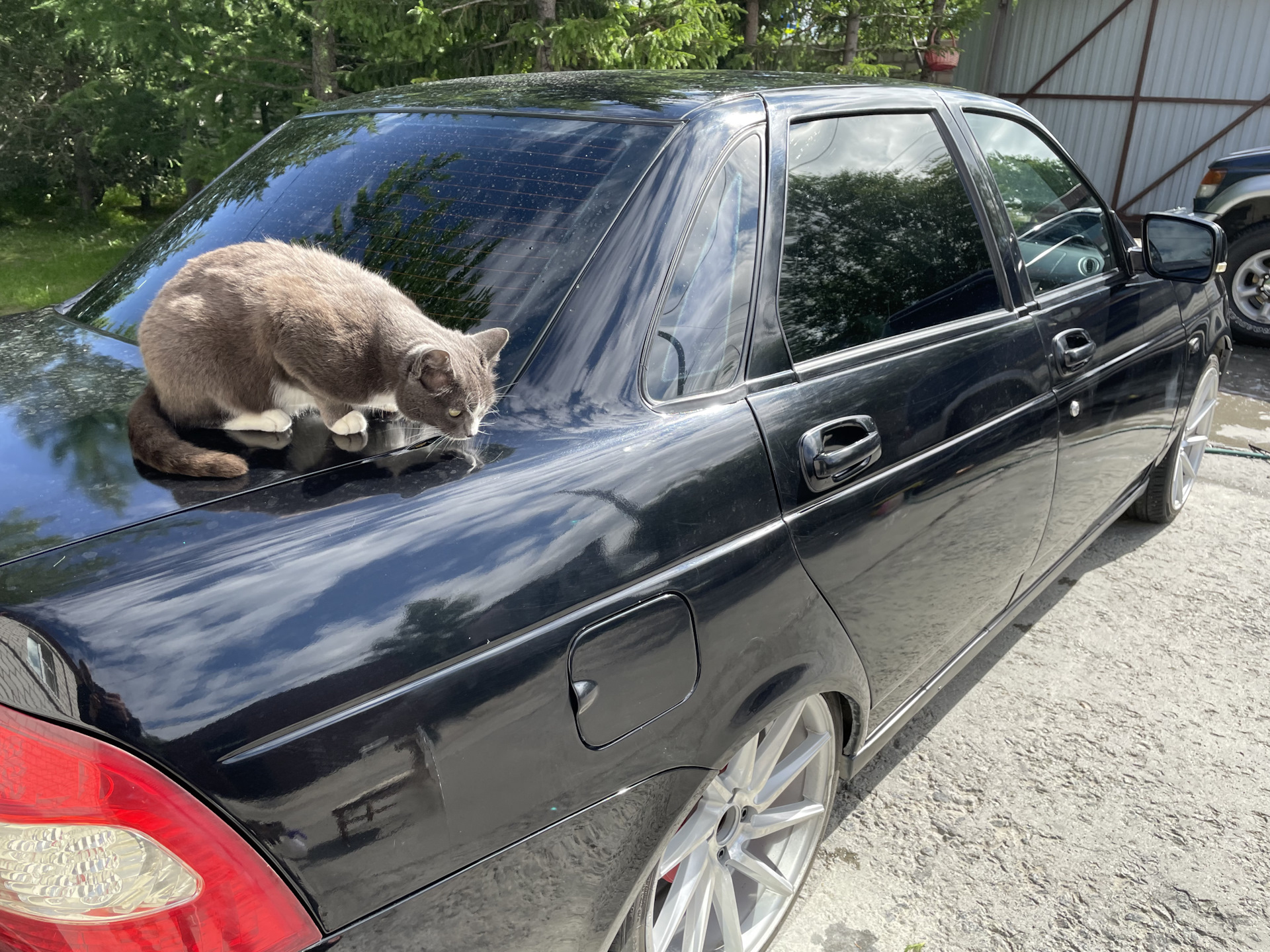 Просто так можно сказать — Lada Приора седан, 1,6 л, 2007 года | другое ...