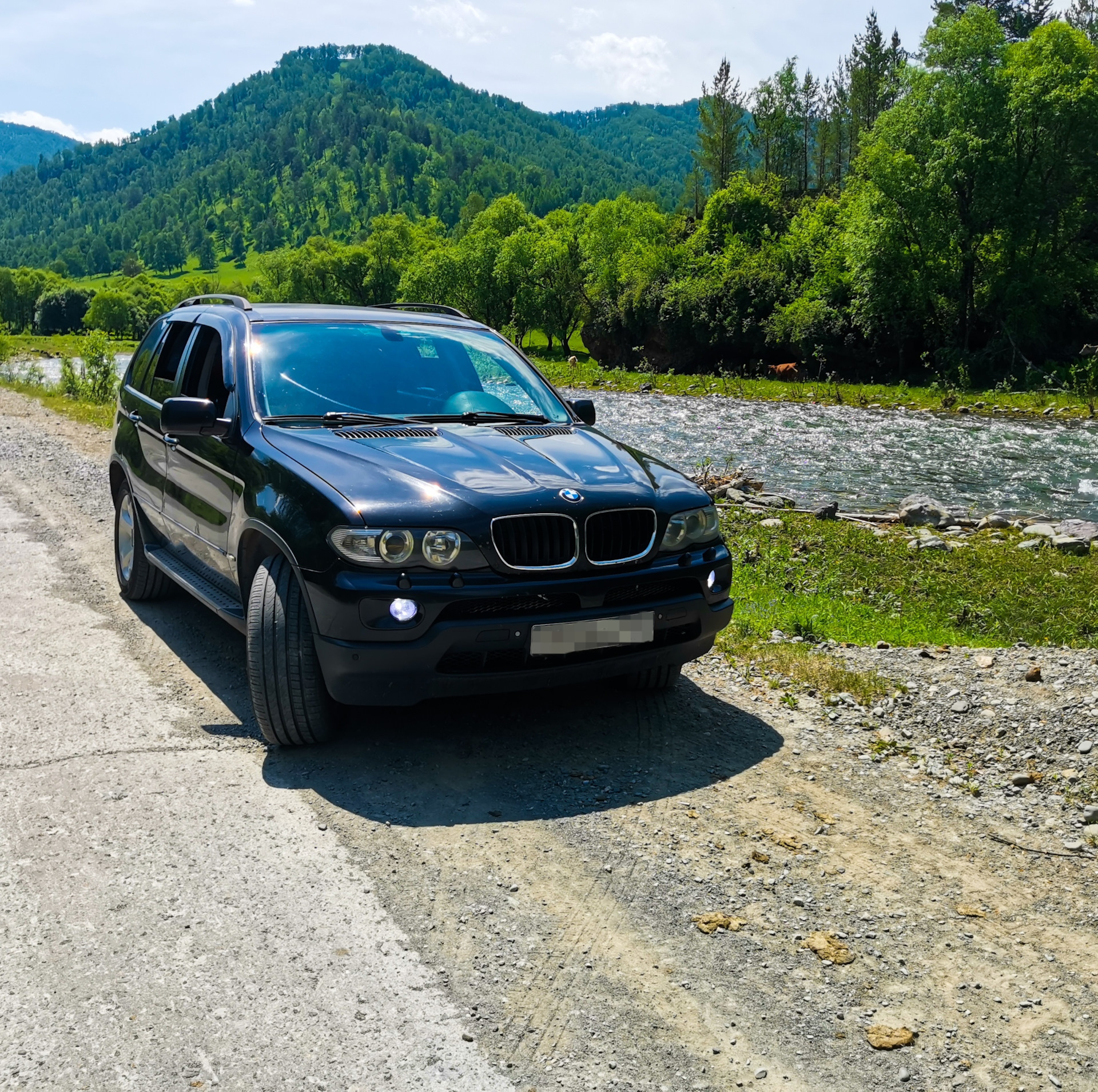 Не могу активировать рыжики (американ лук) — BMW X5 (E53), 3 л, 2006 года | электроника | DRIVE2