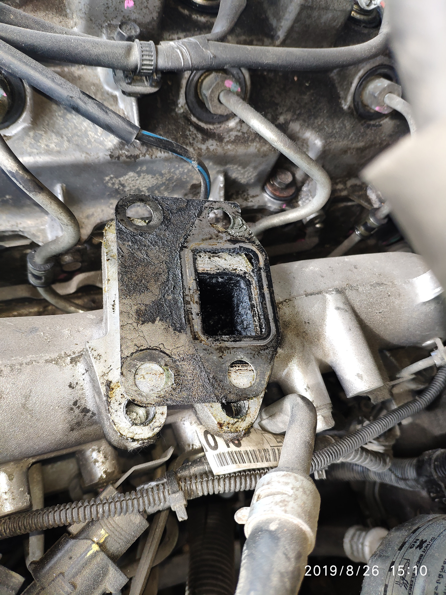 Ожила после чистки Егорки — Mitsubishi Pajero (4G), 3,2 л, 2008 года ...