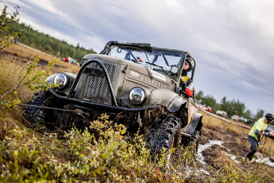 Volga-Oil: отзывы, цены, фото