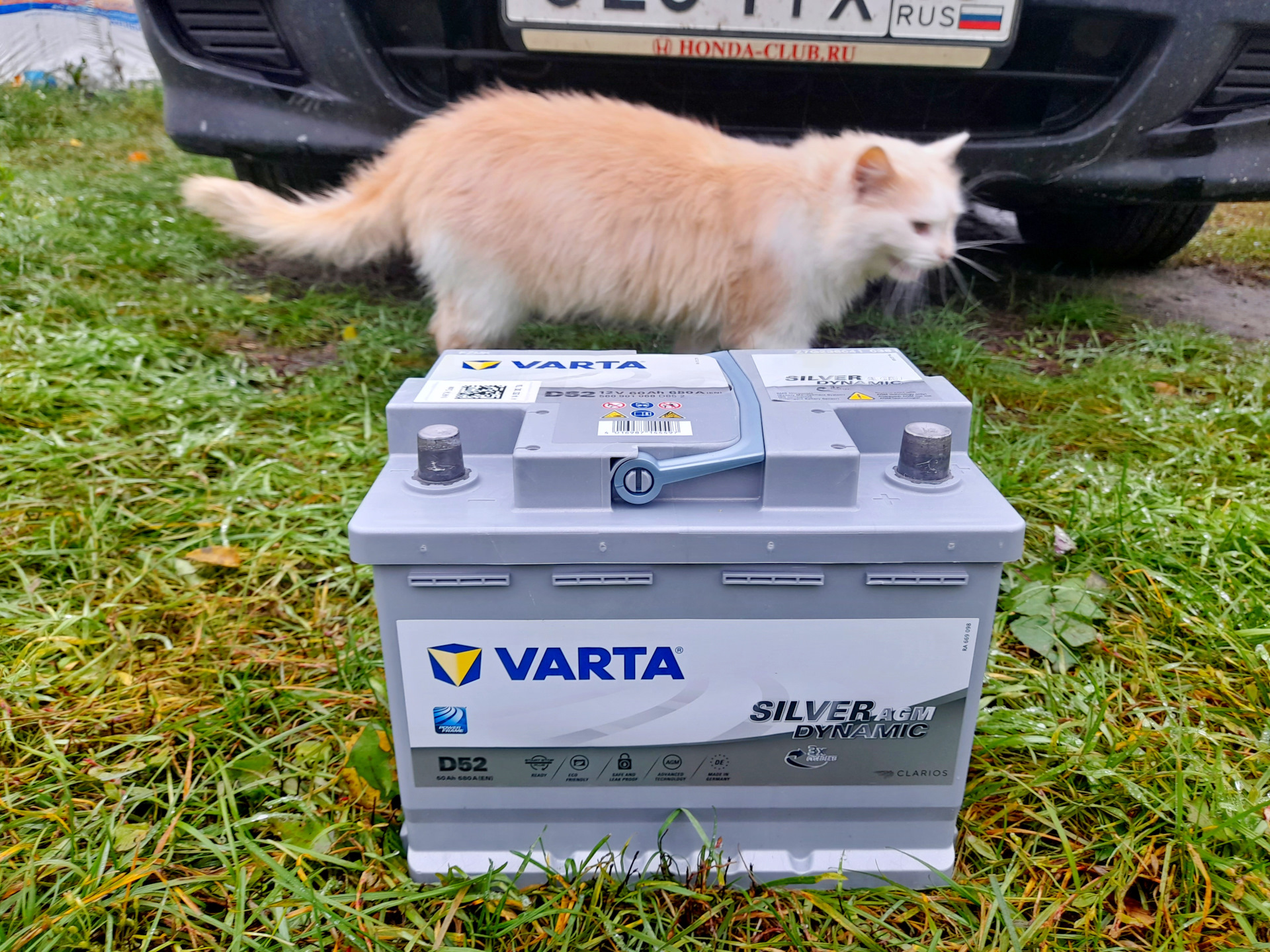 Новый акум.VARTA SILVER DYNAMIC AGM-L2 D52 — Honda Accord (6G), 1,8 л ...