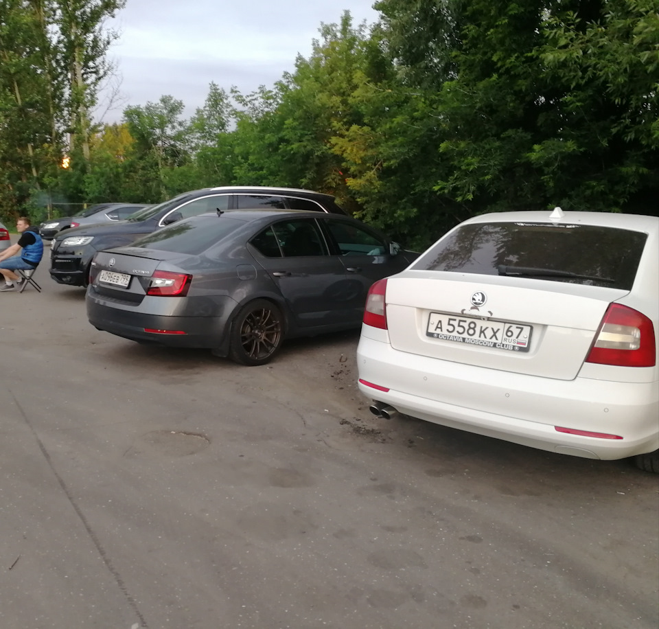 Птф — Lada Ларгус, 1,6 л, 2019 года | просто так | DRIVE2