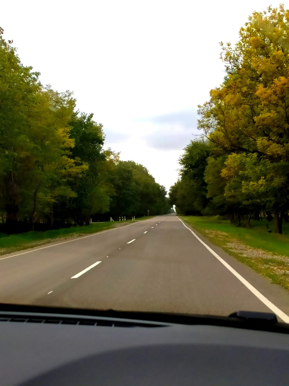 Slik L-722 или Диски на зиму 💣🔥 — Lada Vesta SW Cross (1G), 1,6 л, 2021 ...