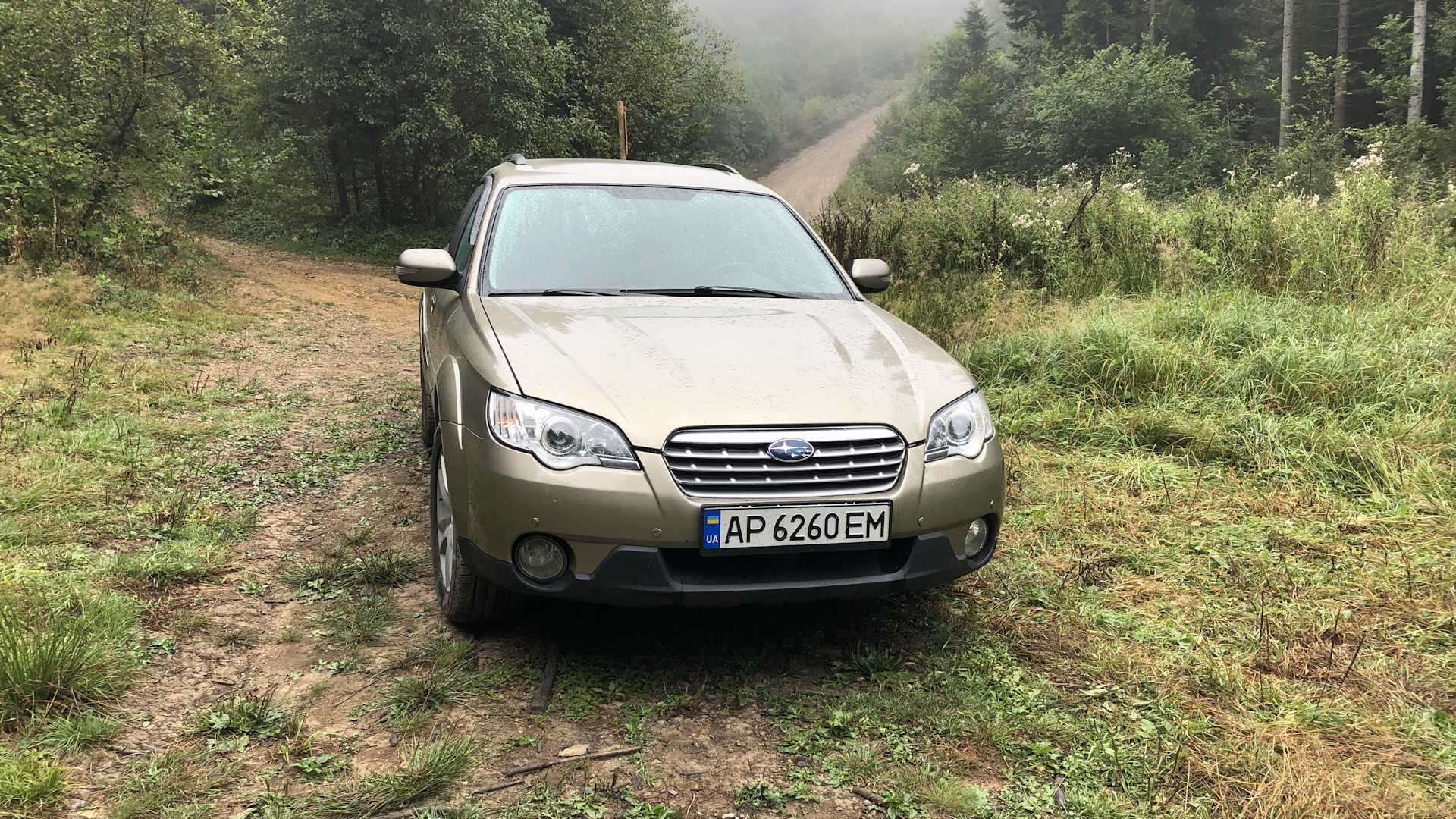 Subaru Outback (BP) 2.5 бензиновый 2008 | на DRIVE2