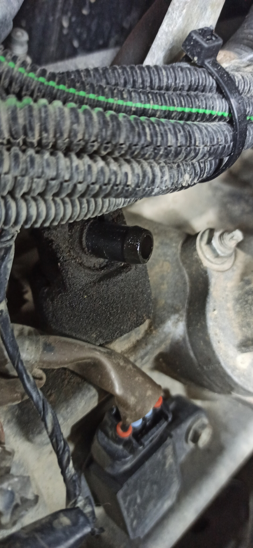 Замена клапана PCV, чистка дроссельной заслонки — Lexus GX (UZJ120), 4 ...