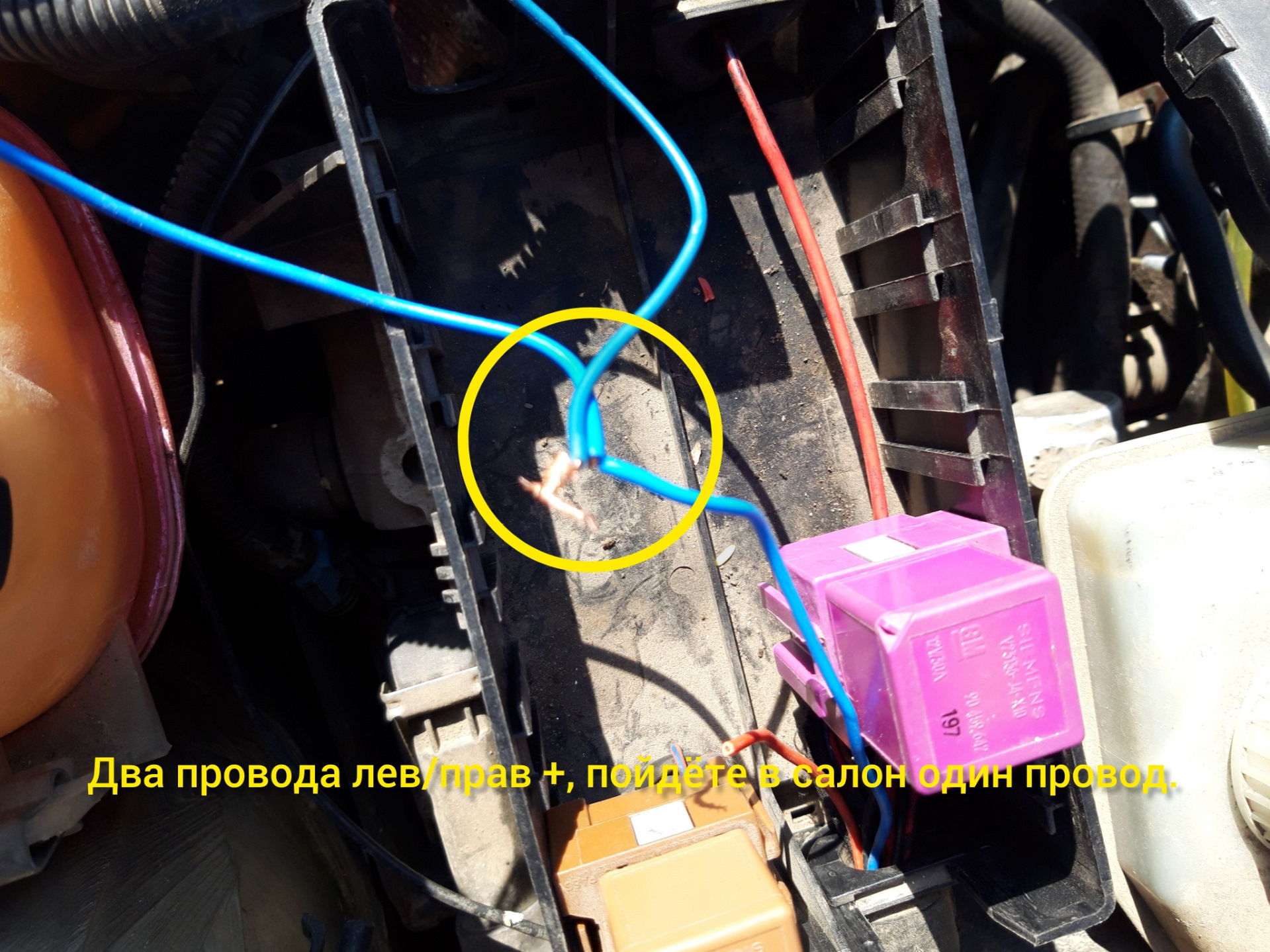 ПТФ Опель Вектра Б. — DRIVE2