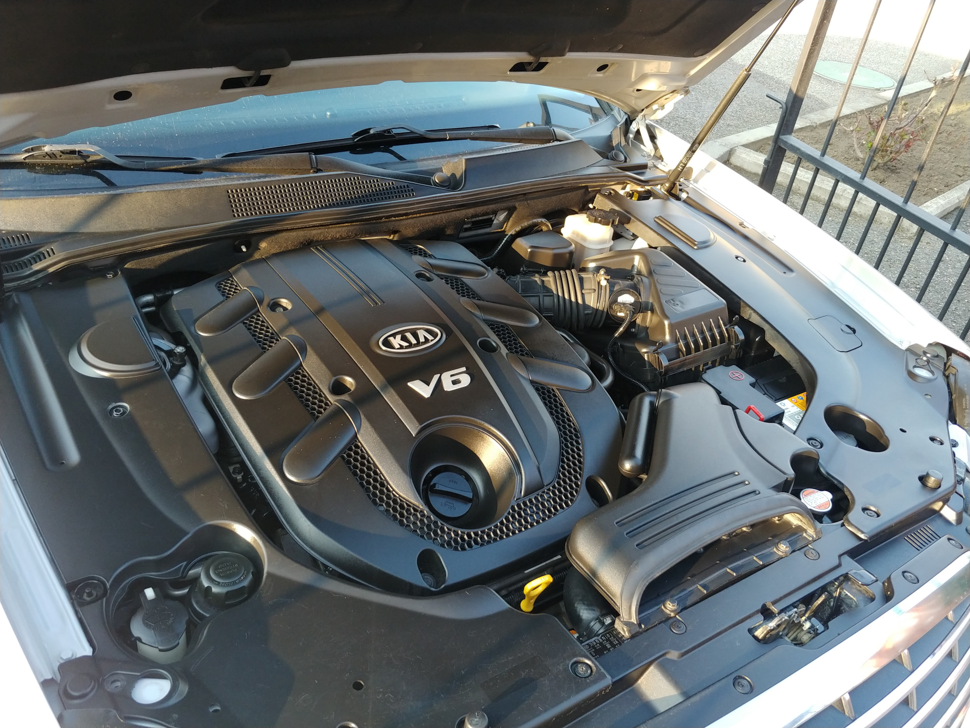 Мойка двигателя — KIA Opirus, 3,8 л, 2008 года | мойка | DRIVE2