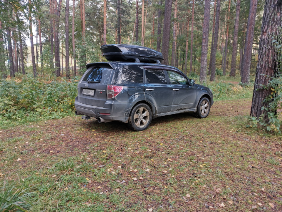 🏕️Forester🚙 — Subaru Forester (SH), 2 л, 2012 года | путешествие | DRIVE2