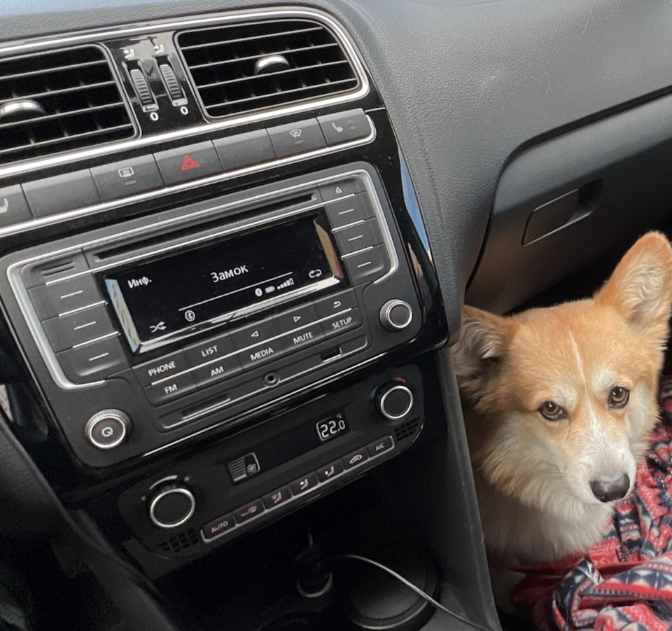 Замена RCD230 на RCD340 Visteon — Volkswagen Polo Sedan, 1,6 л, 2017 ...