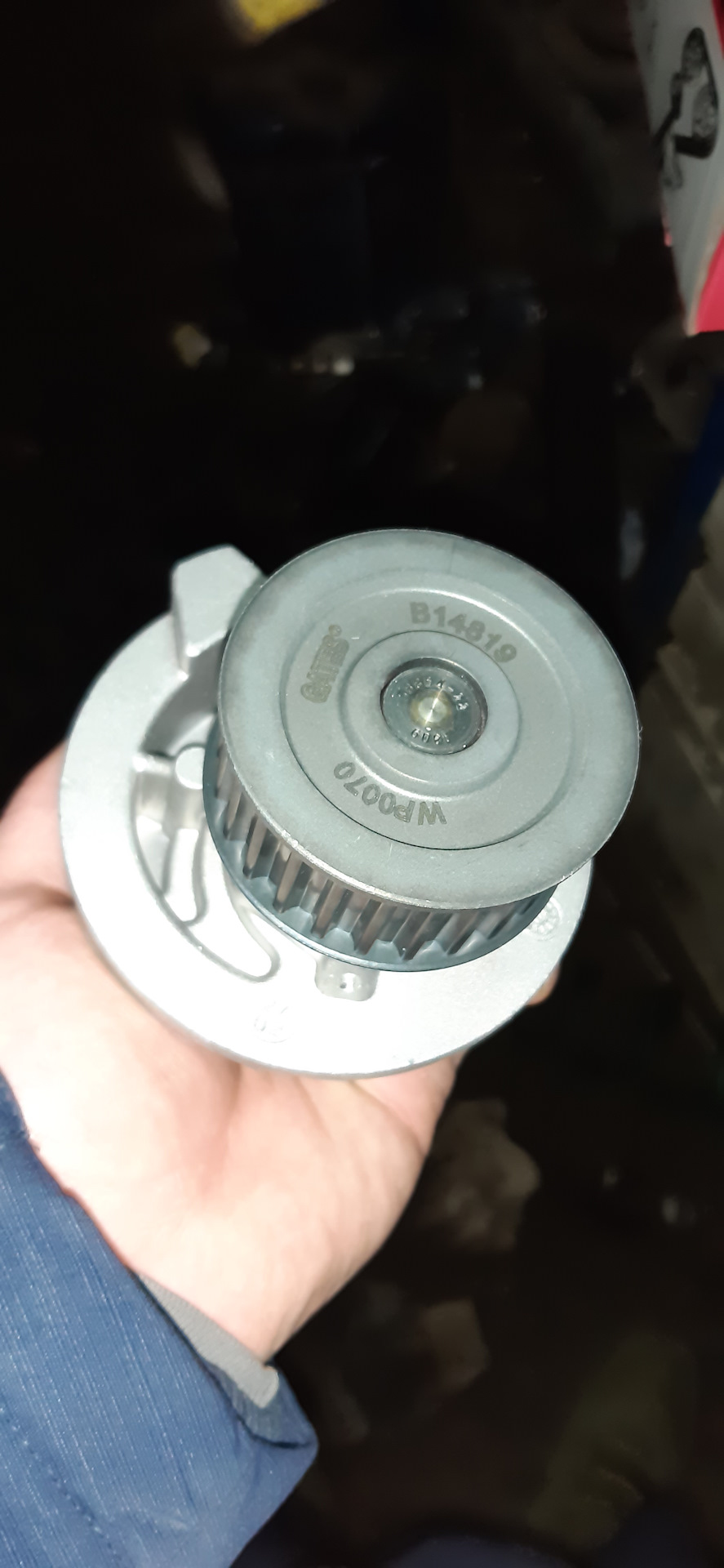 Замена ремня ГРМ с помпой. — Chevrolet Captiva (1G), 2,4 л, 2007 года ...