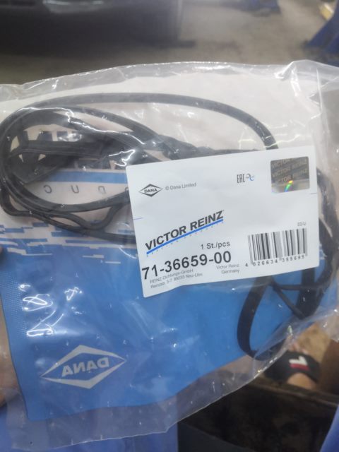 713665900 Прокладка, крышка головки цилиндра VICTOR REINZ | Запчасти на ...