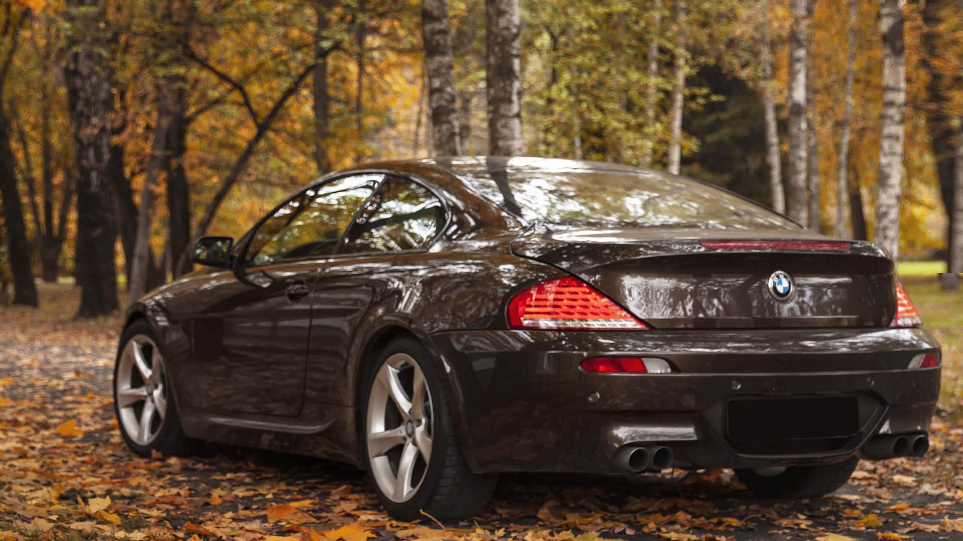 BMW 6 series (E63) 4.8 бензиновый 2005 | M650i Pyrite brown на DRIVE2