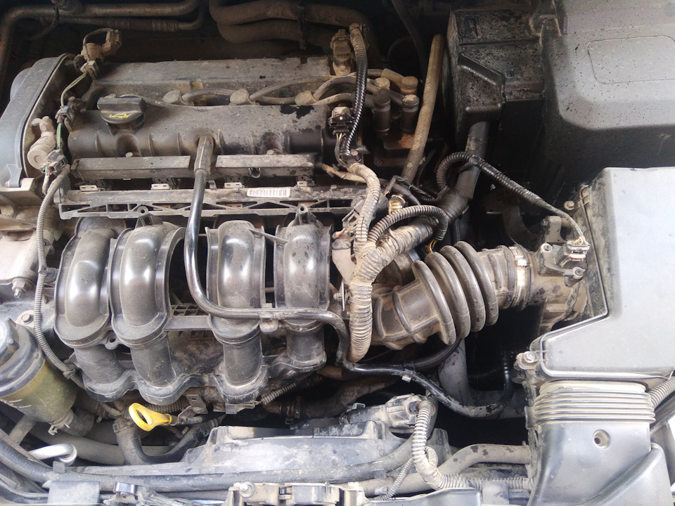 Гаражный ремонт патрубка отопителя FORD 2025166 — Ford Focus Sedan II ...