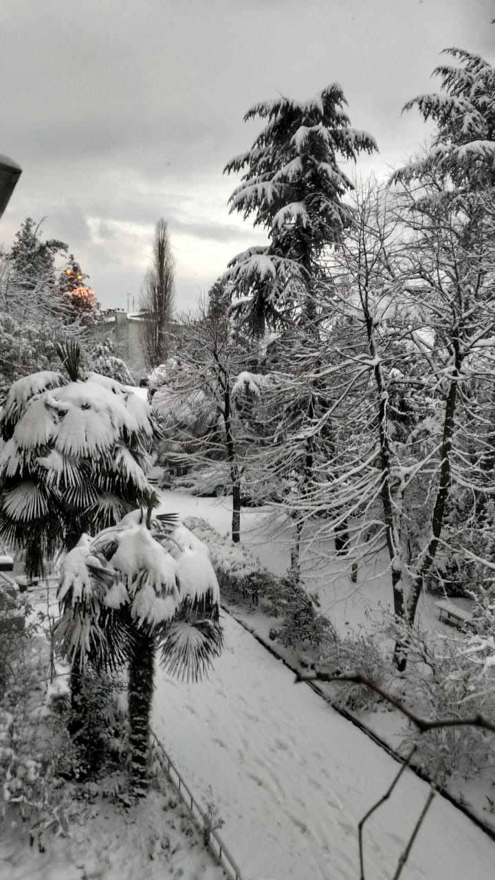 Сочи, утро 18.03.2022 — DRIVE2